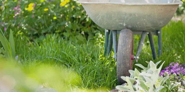 C&J Landscape Service Inc | Landscaping Experts in Modesto, CA